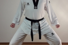 Juchum seogi - TAEKWONDO-Schule Sappl
