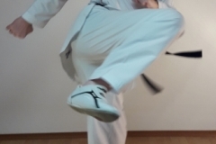 Yeop-chagi - TAEKWONDO-Schule Sappl